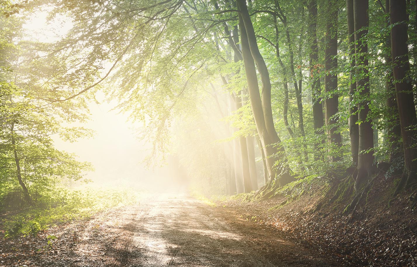 Maria & Sarah | How to dream well